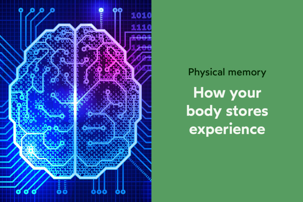 Physical Memory: How Your Body Stores Experience - Evolve Chiropractic